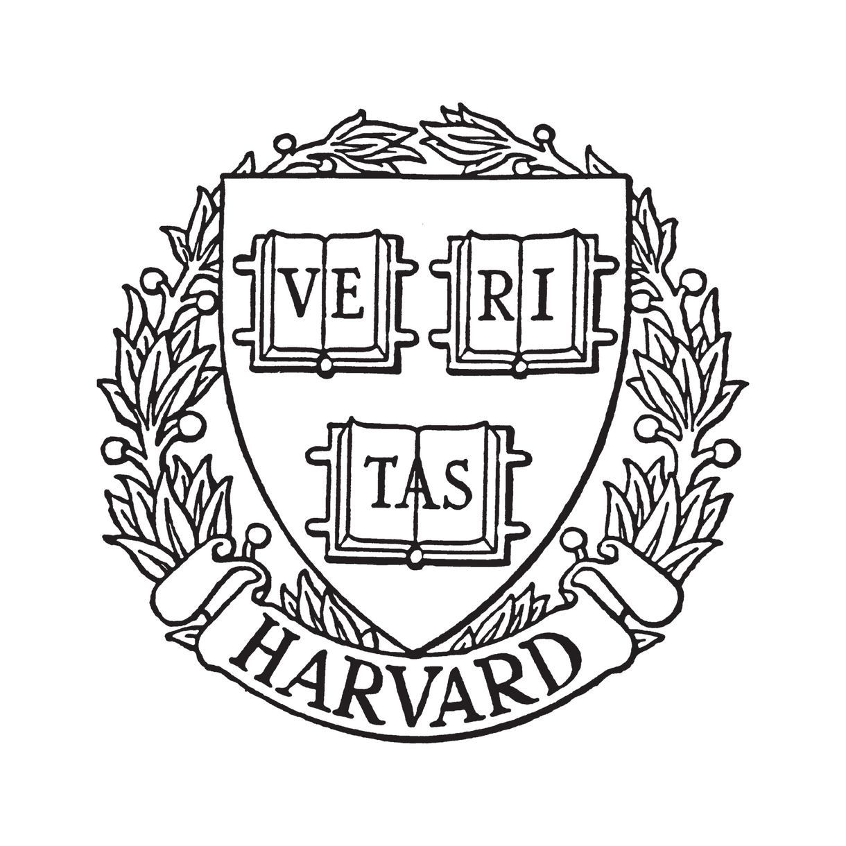 Standard Chair - The Harvard Shop