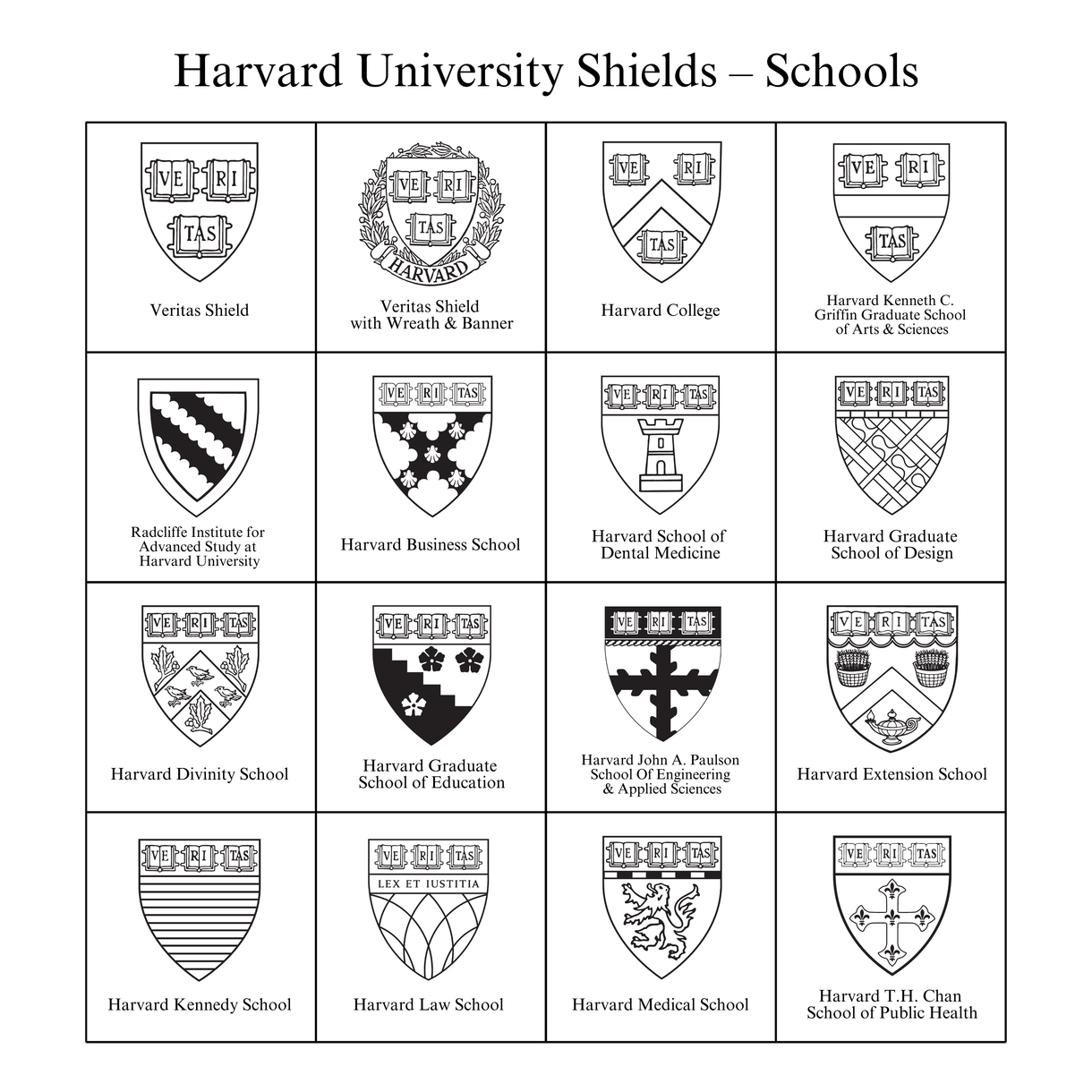 Standard Chair - The Harvard Shop