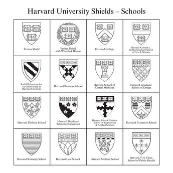 Standard Chair - The Harvard Shop