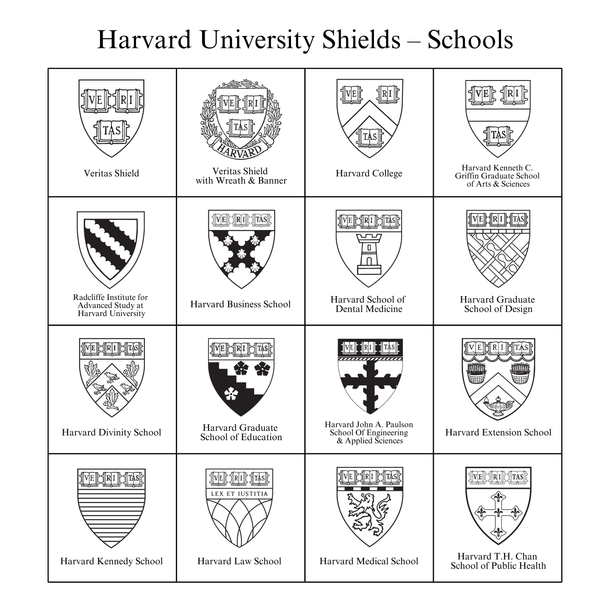 Standard Chair - The Harvard Shop