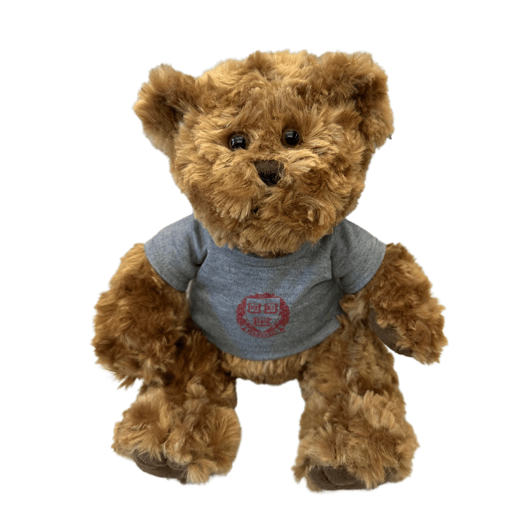 Harvard Bear Plushie – The Harvard Shop