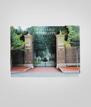 Pins, Magnets & Keychains – The Harvard Shop